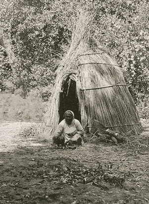 pomo house | Native Heritage Project